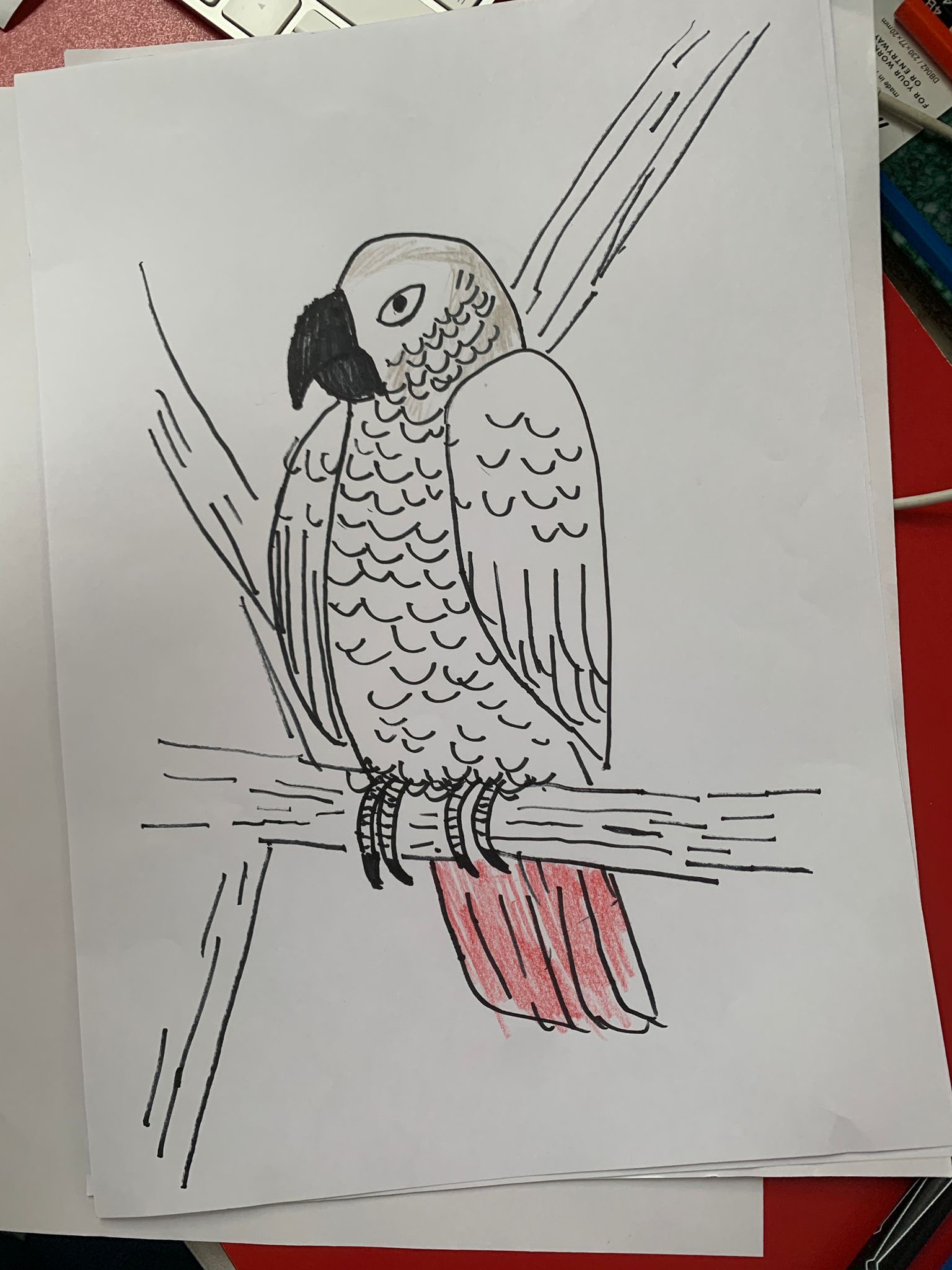 Methuselah, Charly and me zoom in to Discovery Bay International School ...